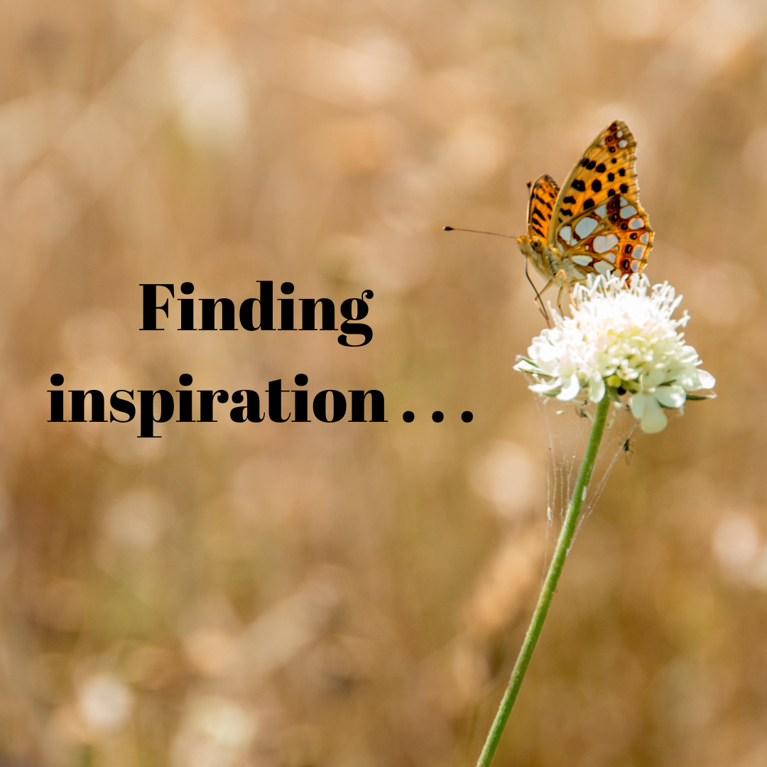 Finding Inspiration | Terri Parlato